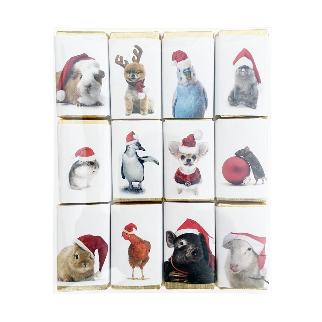 Christmas Cute Animals in Hats Slims | Christmas | House of Dorchester